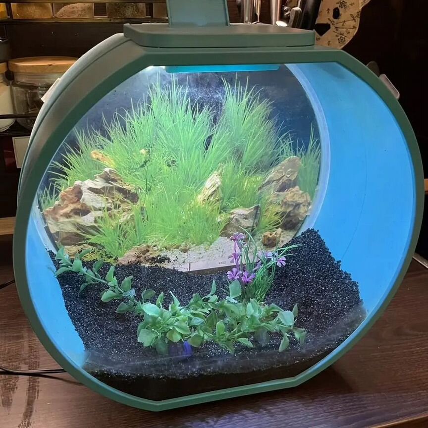 Аквариум 20 литров