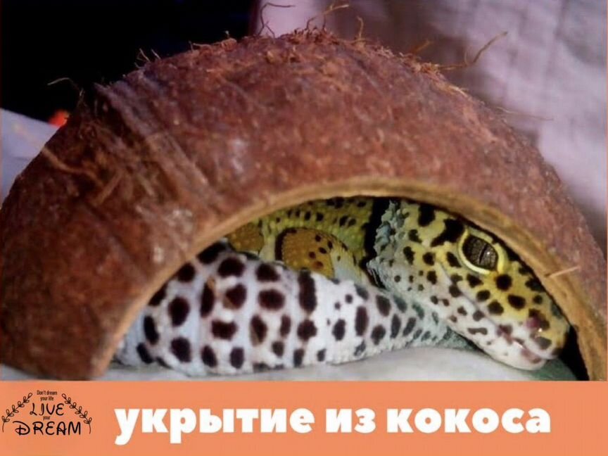 Укрытие из кокоса