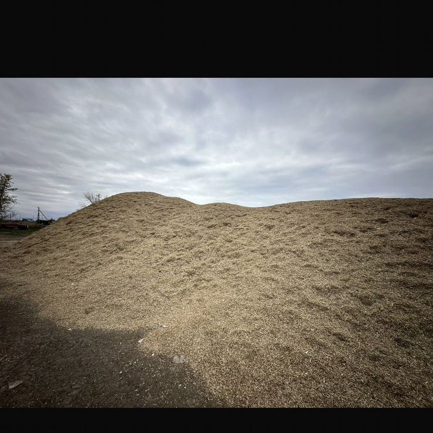 Отходы рапсовые