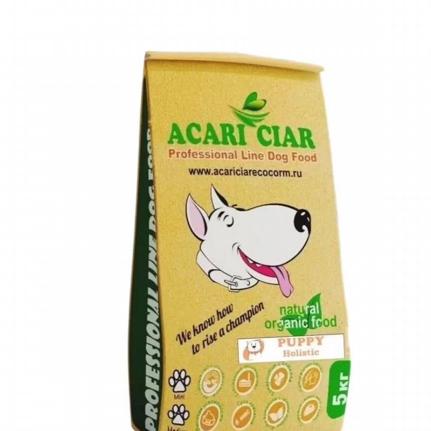 Acari Ciar Puppy