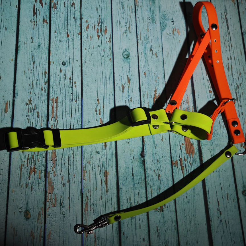 Недоуздок для собак