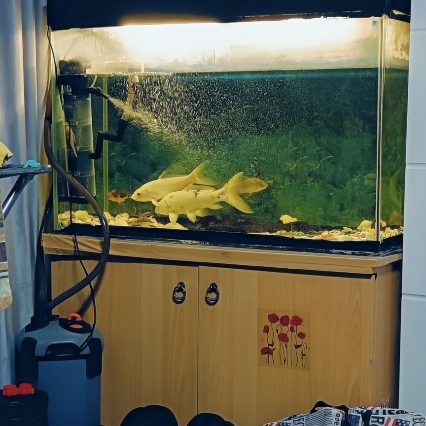 Аквариум 250 литров с рыбками