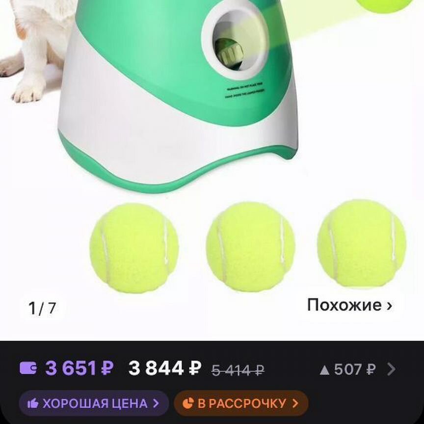 Катапульта для собак