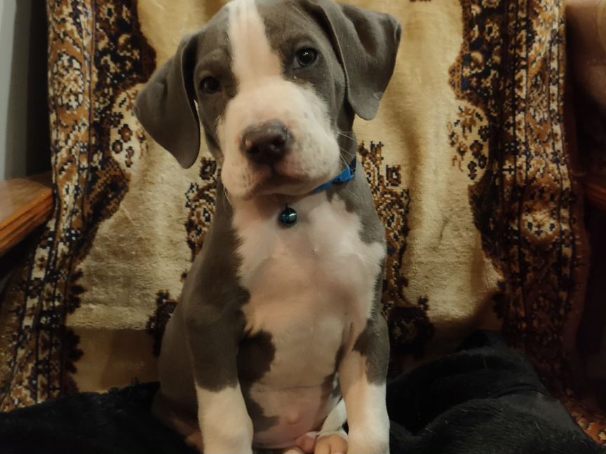 Чудо-ребёнок