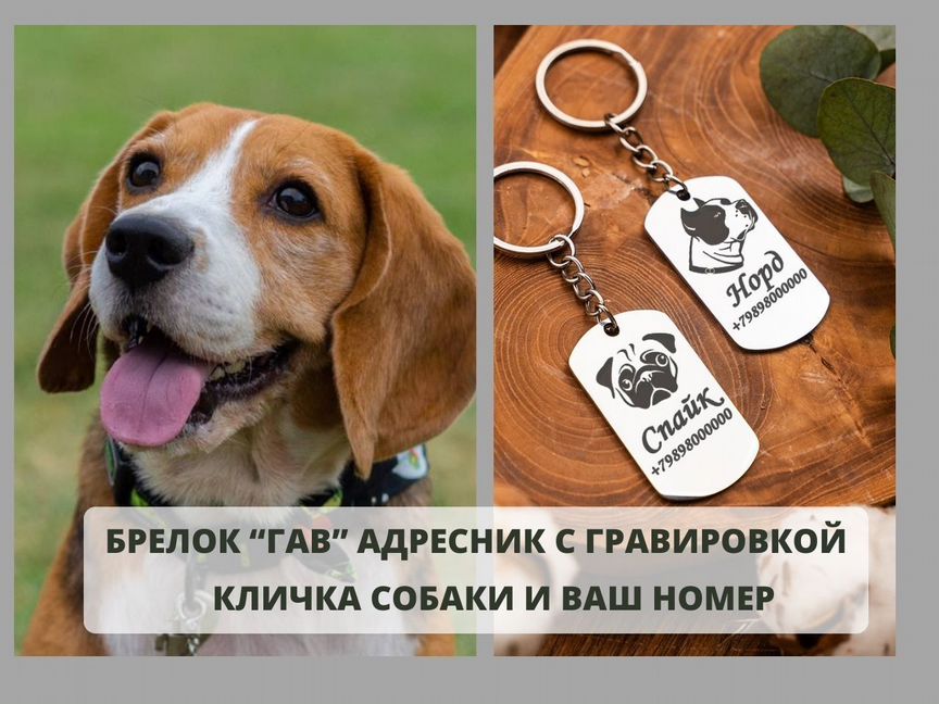Адресник «Гав» для собак и кошек. Гравировка кличк
