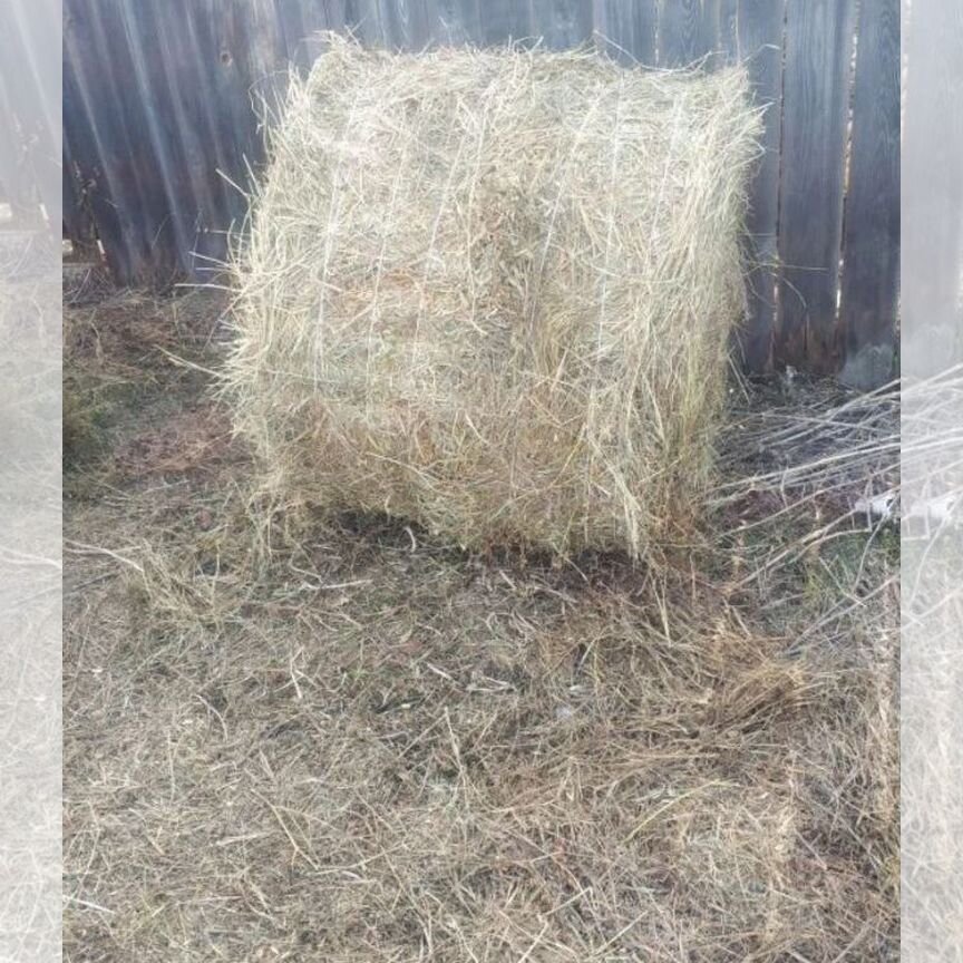 Сено в рулонах для овец