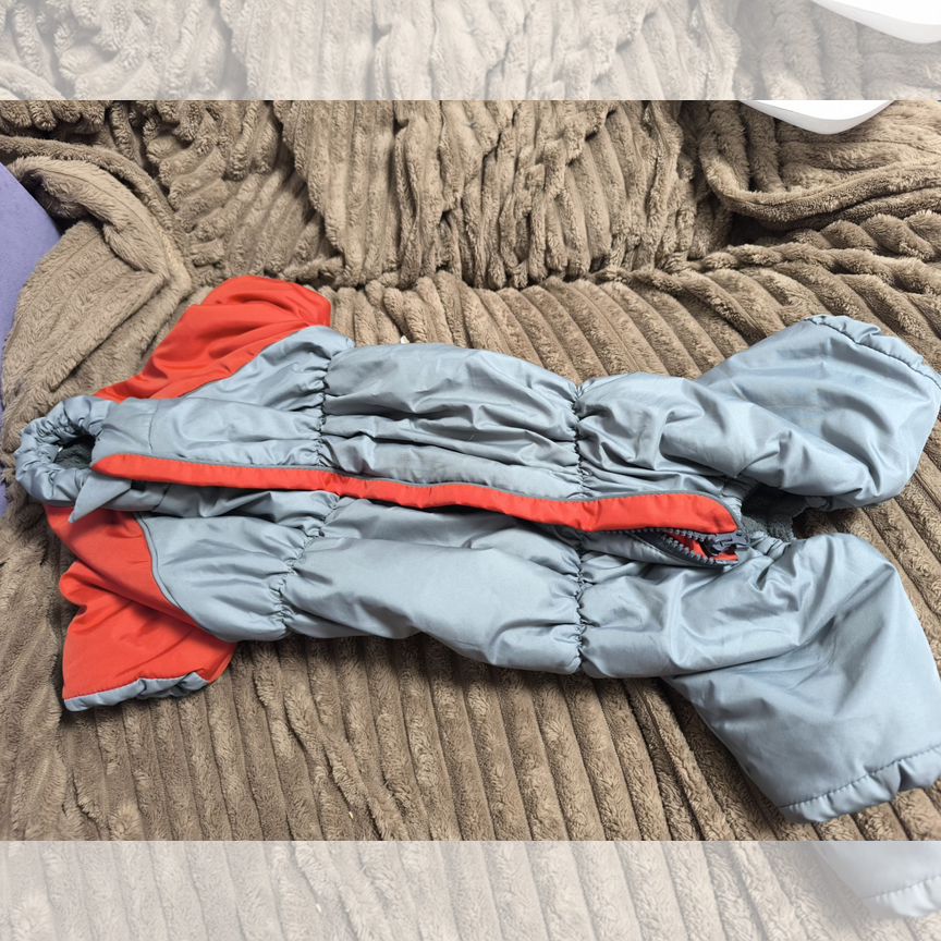 Зимний комбинезон для маленькой собаки