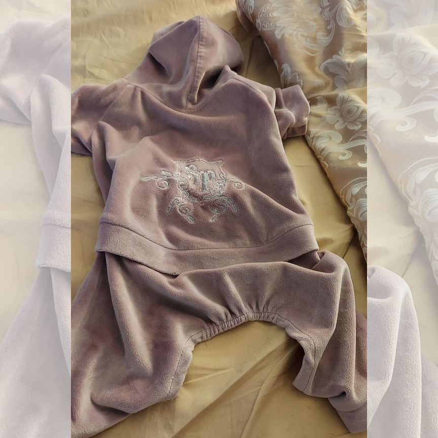 Одежда для собак средних