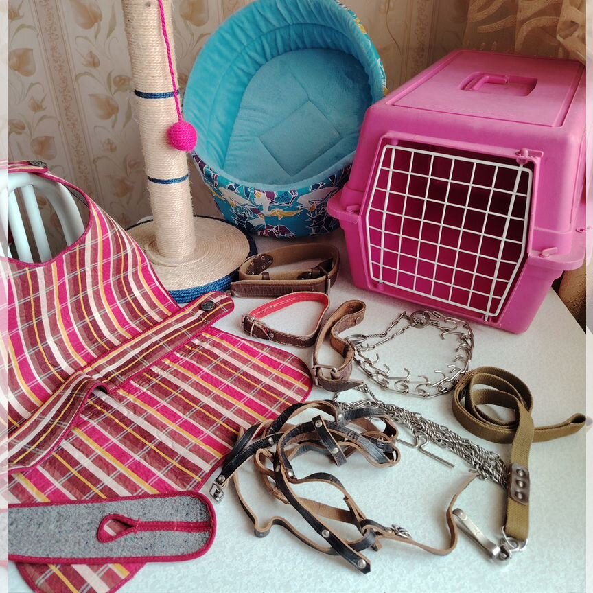 Товары для кошек и собак. Амуниция