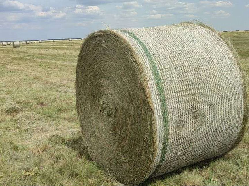 Сено солома в рулонах