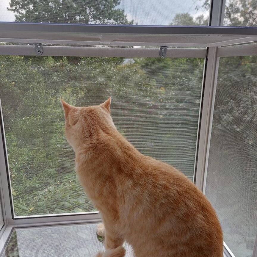 Балкон для кошек