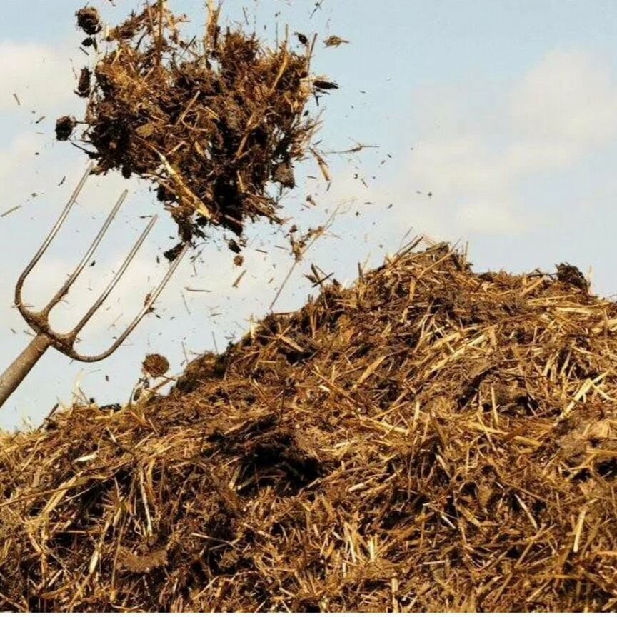 Сено с козьим навозом
