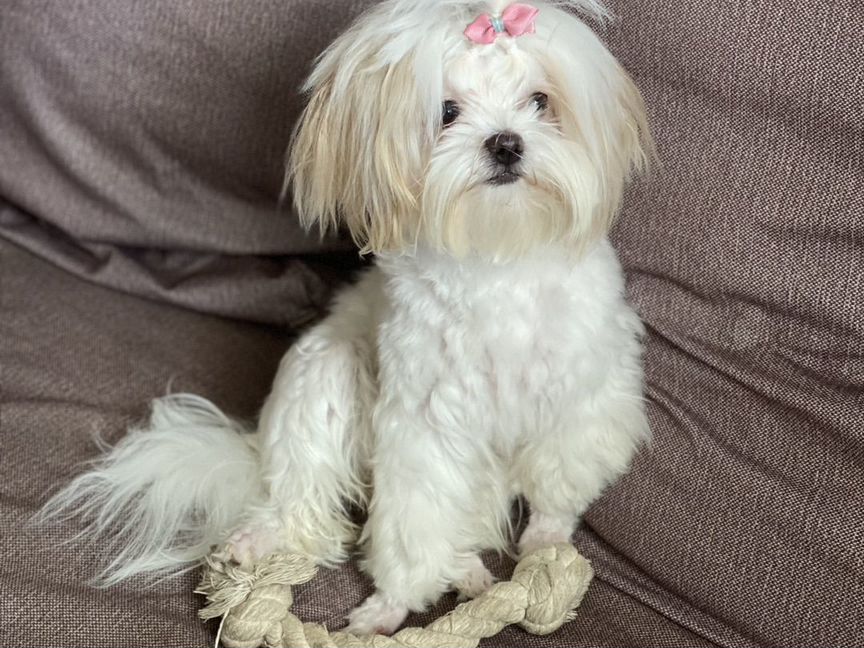 Ищем жениха