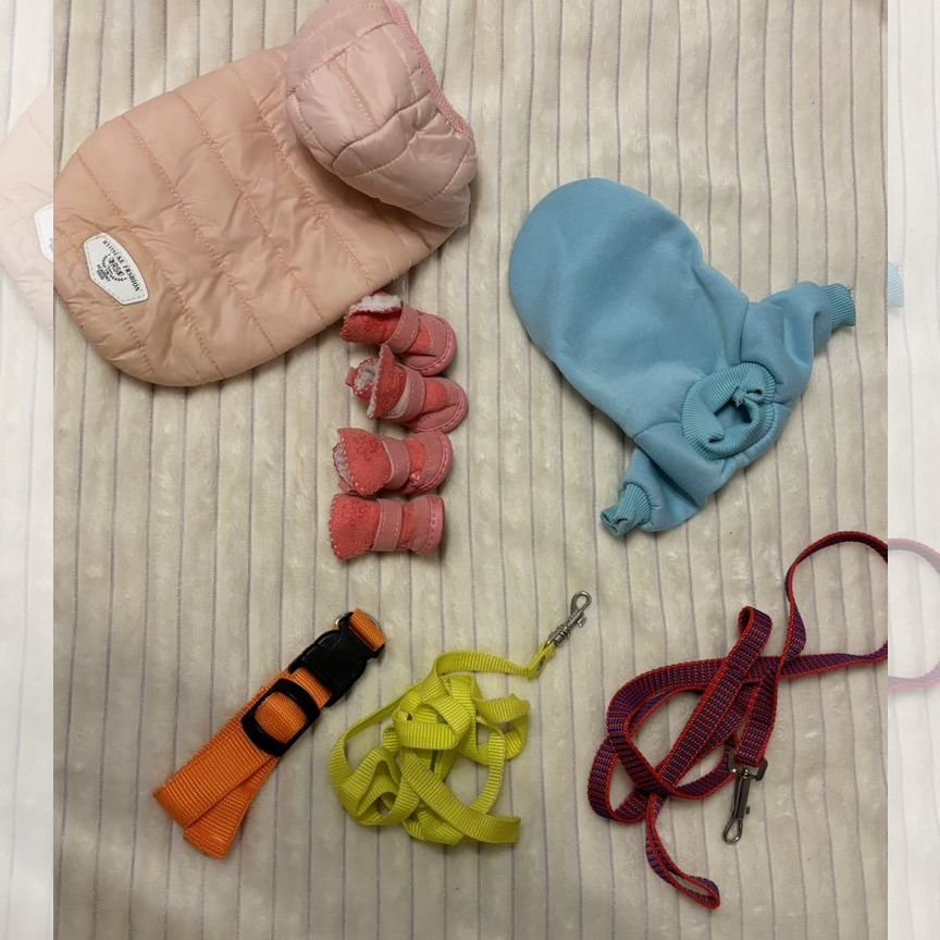 Одежда для маленьких собак