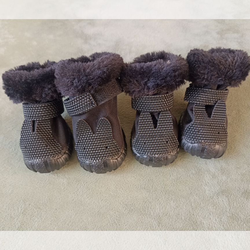 Ботиночки для собак