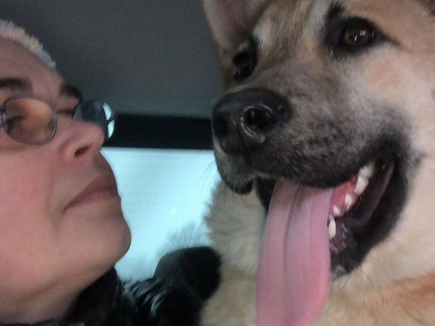 Щенок в добрые руки