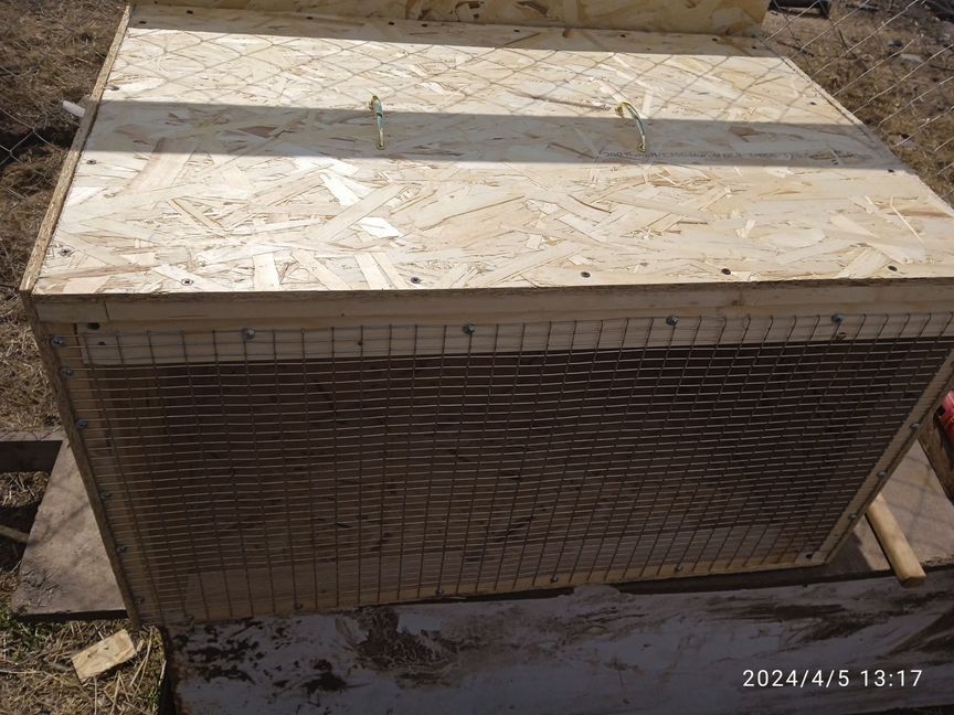 Клетки для цыплят, гусят