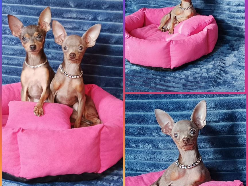 Крутышка Той