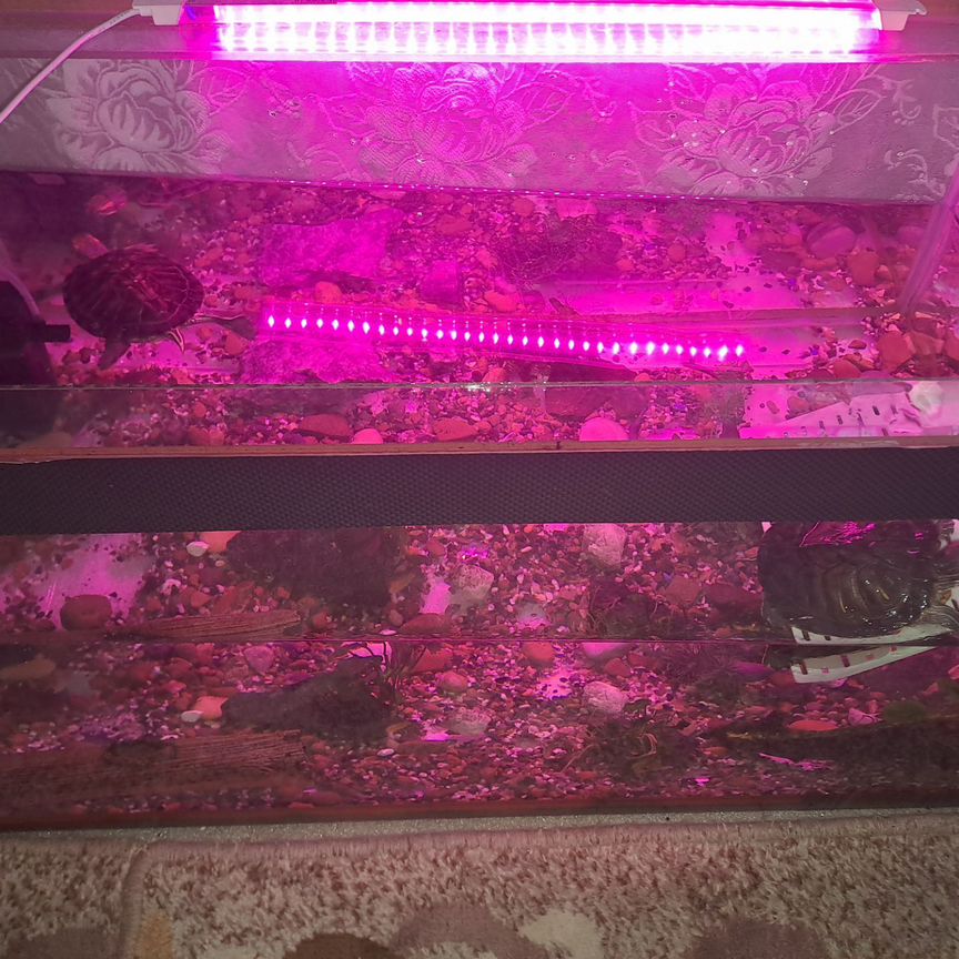 Аквариум 120л