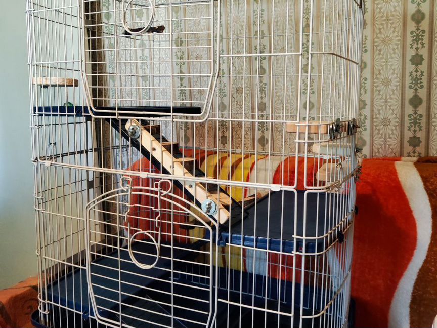 Большая клетка 75х48х120