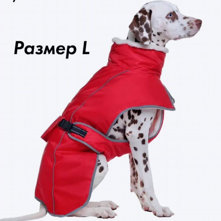 Одежда для собак