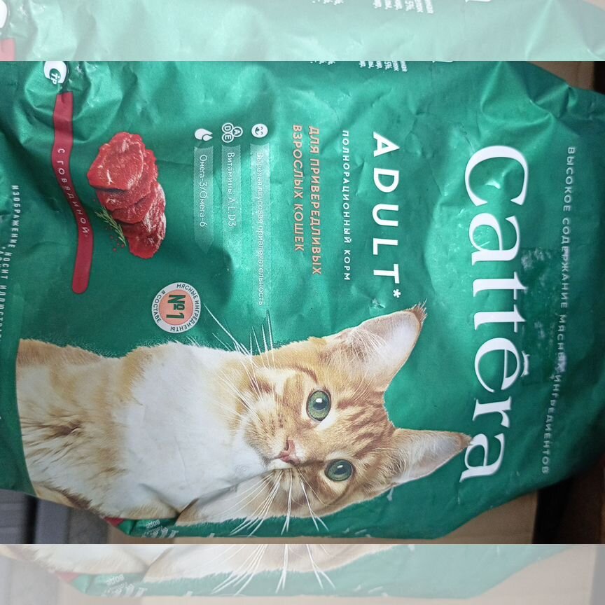 Сухой корм для кошек