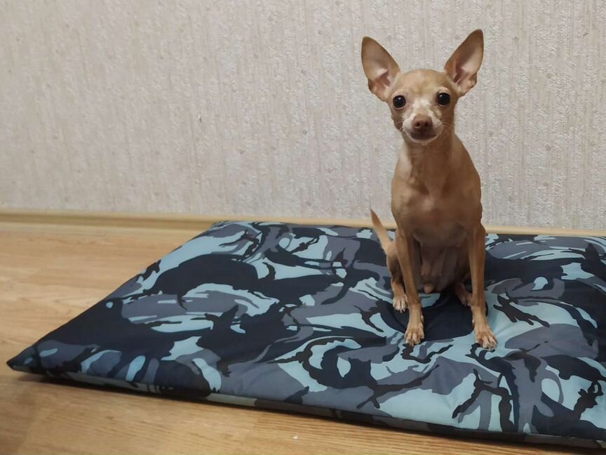 Лежанка для собак антивандальная