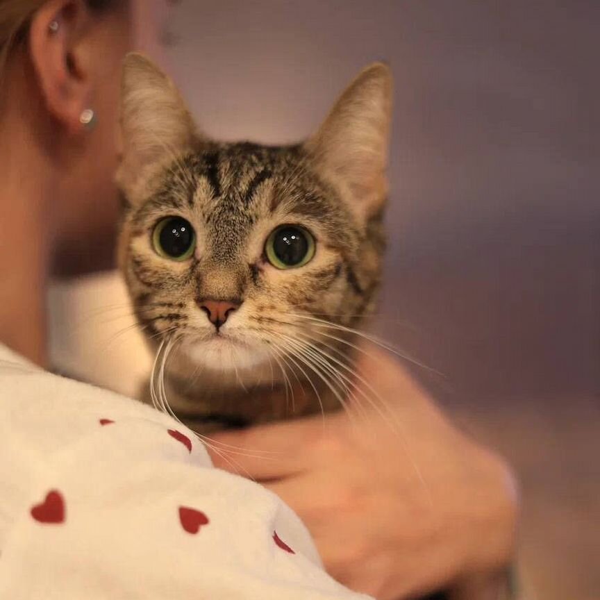 Подросток девочка ищет дом