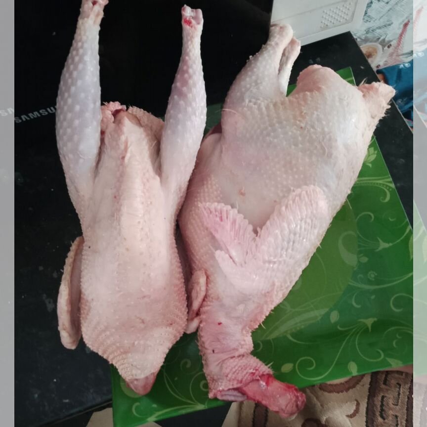 Продам домашнюю курицу
