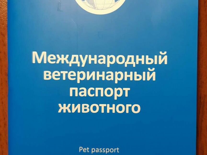 Ветеринарный паспорт домашнего питомца