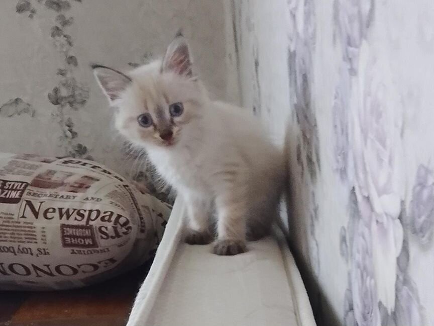 Ночной тыгыдык