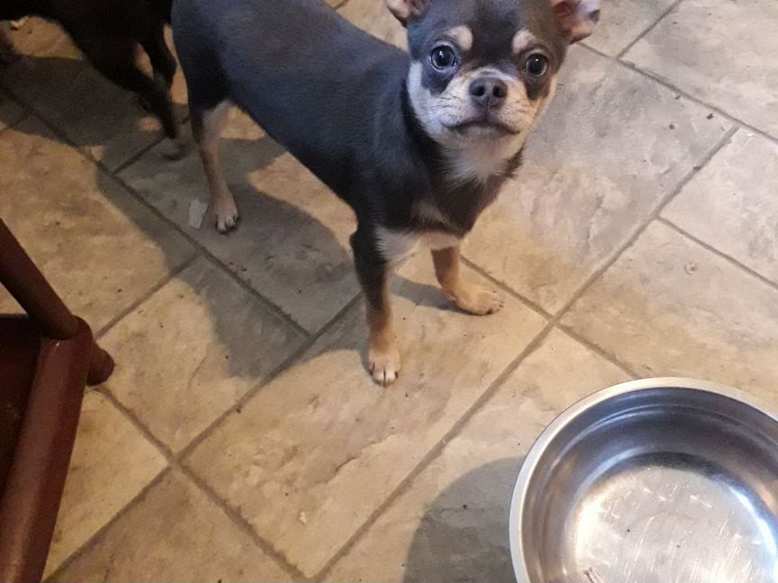 Мальчик подросток