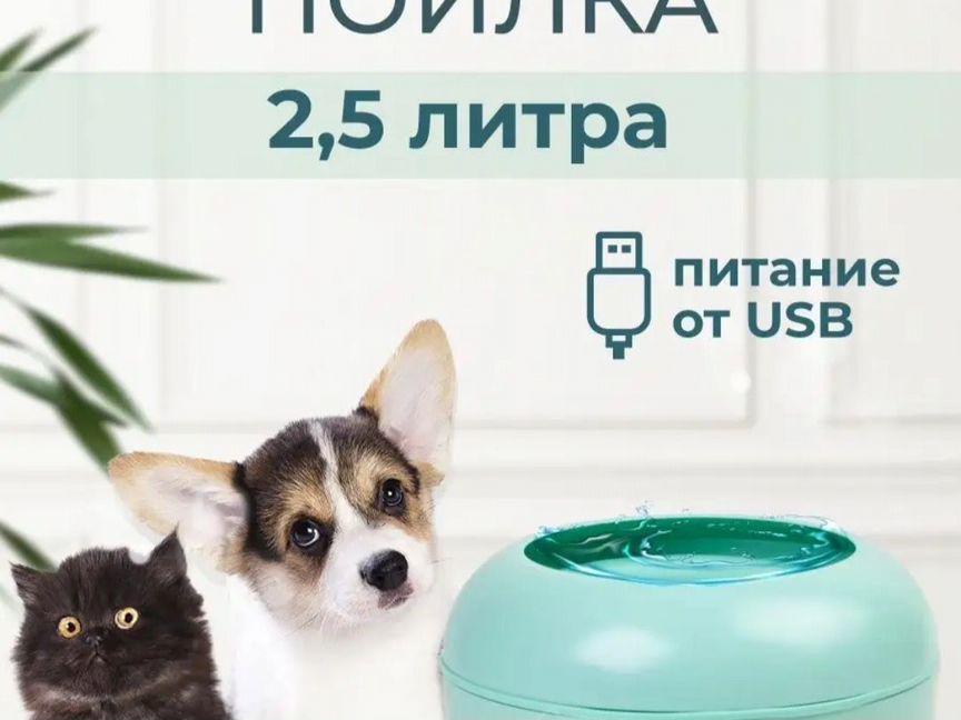 Питьевой фонтанчик для животных