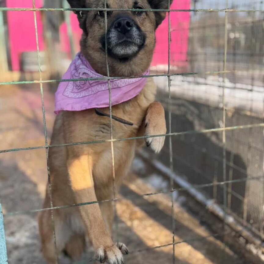 Молодая Ларочка ищет дом