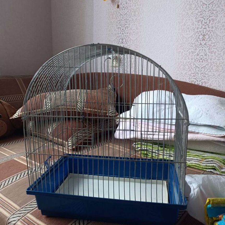 Клетка для попугая с аксессуарами