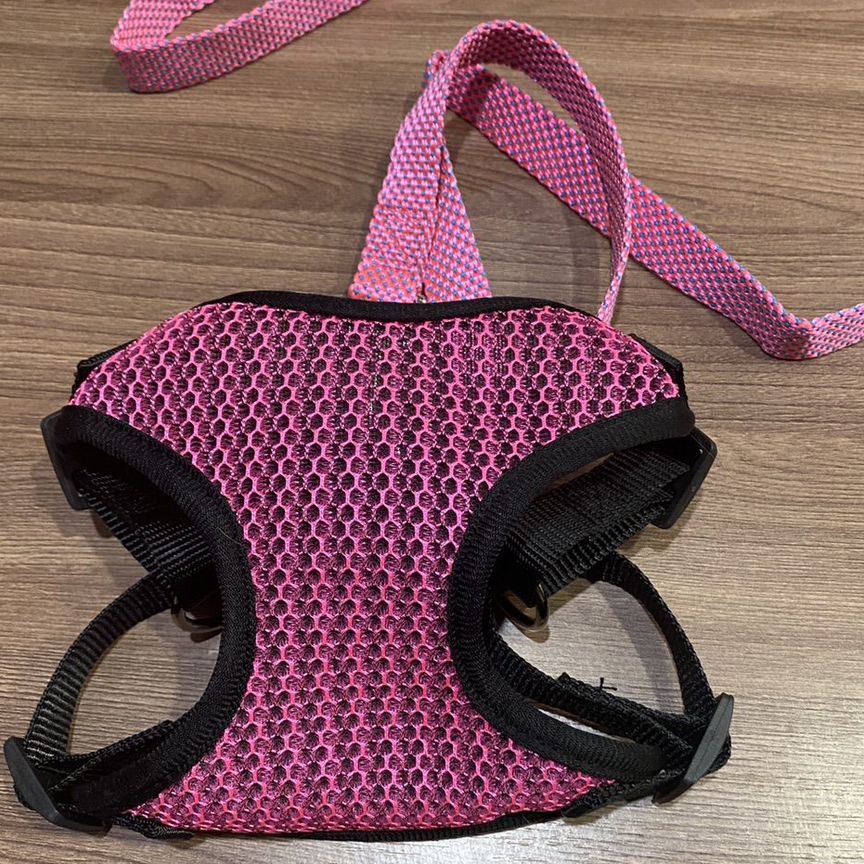 Шлейка для маленькой собаки или кошки