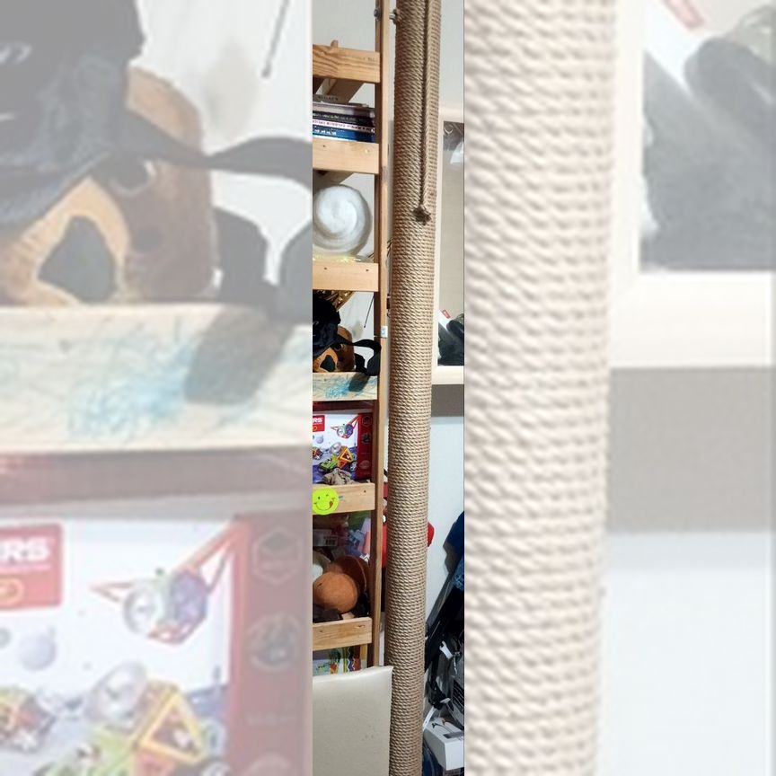 Когтеточка-лазалка