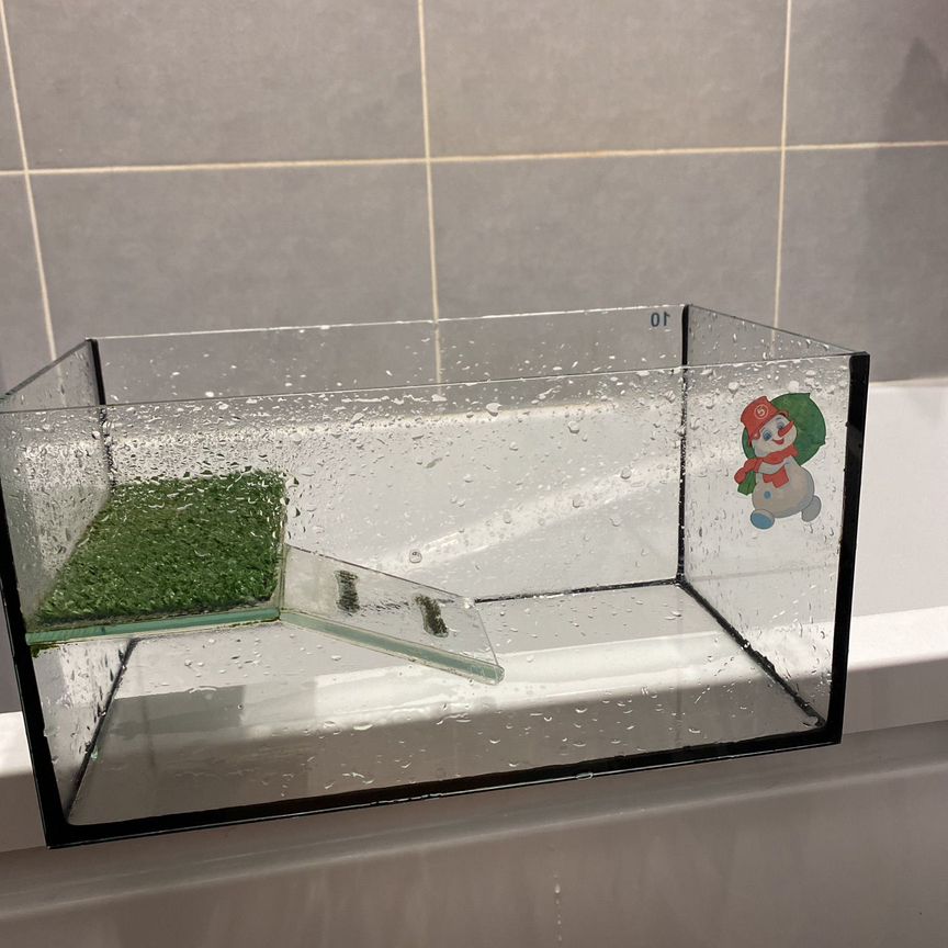 Аквариум для черепашек