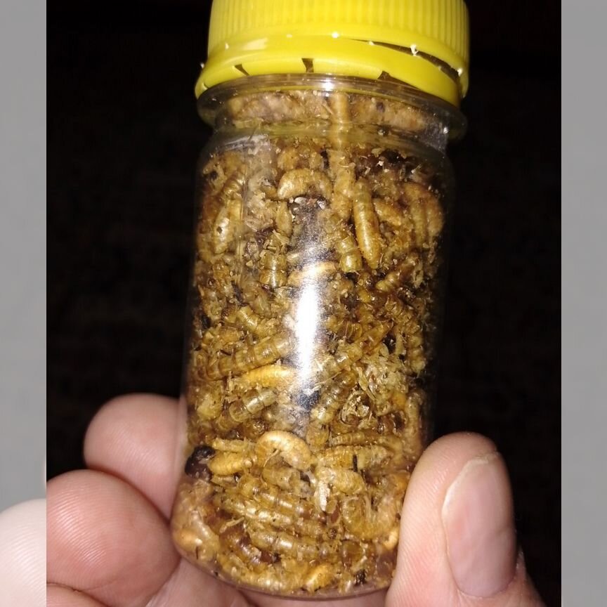 Корм Гаммарус