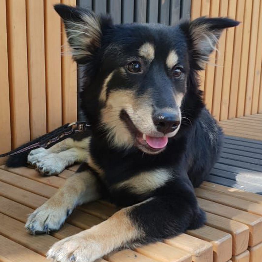 Жду мамочку