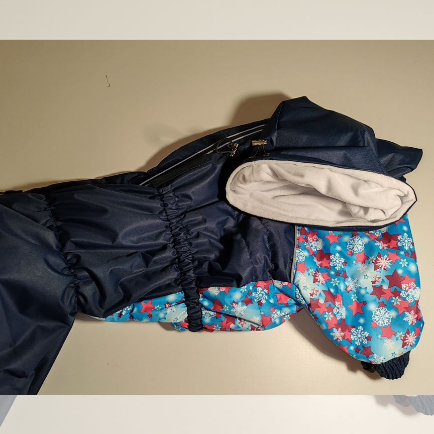 Одежда для собак. Комбинезон на булли