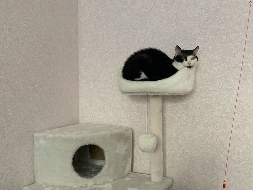 Домик для котиков