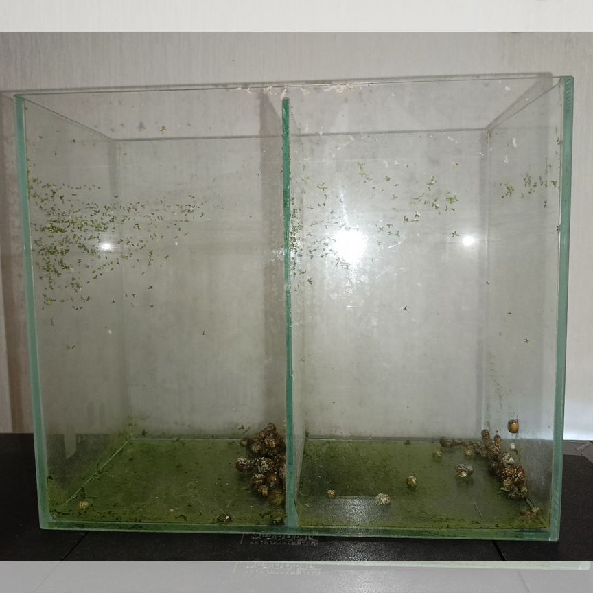 Аквариум 10л