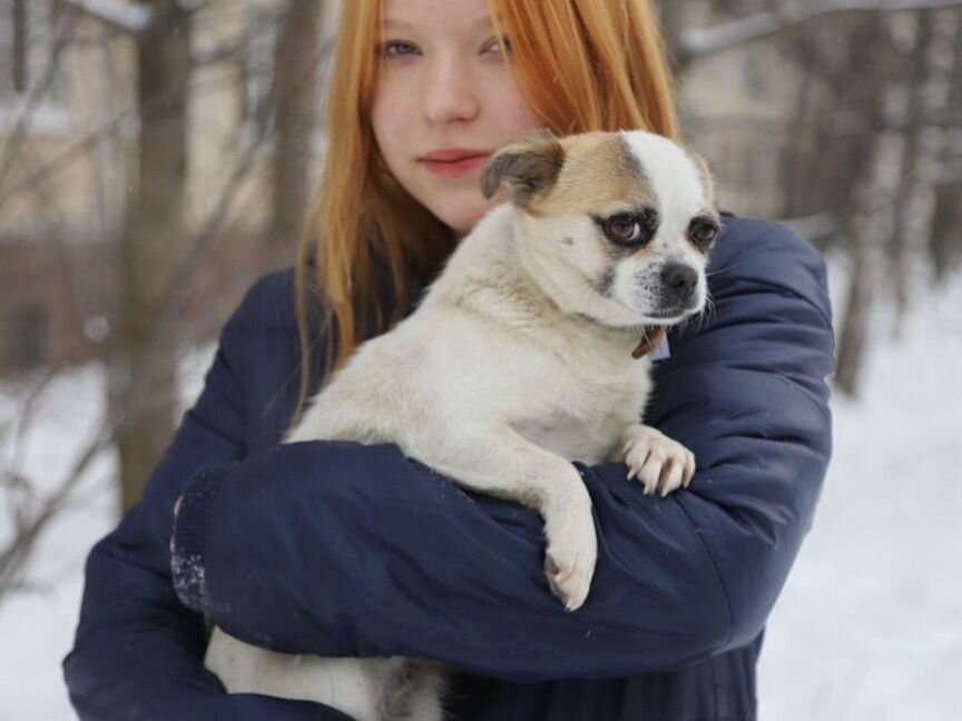 Маленькая собачка Рыбка