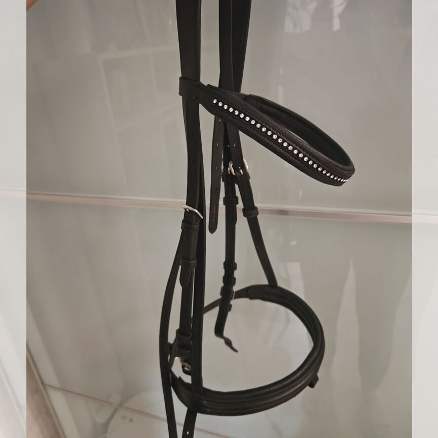 Уздечка для лошади cob