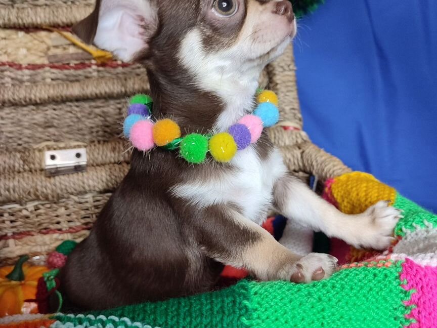 Новогодние подарочки