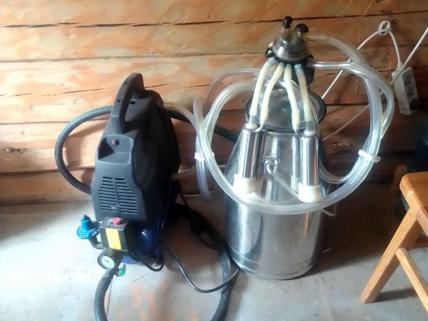 Доильный аппарат для коров