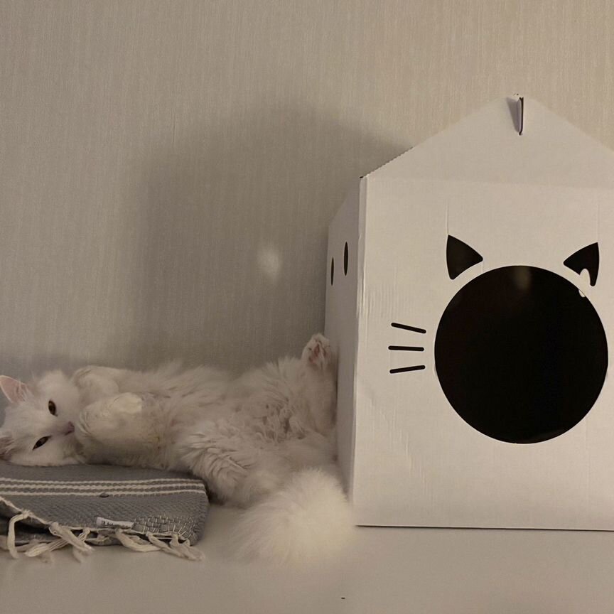 Домик для кошки