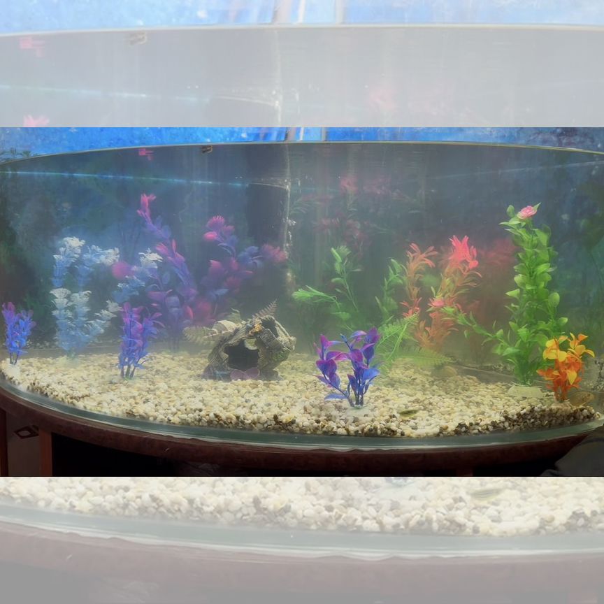 Аквариум 120 литров   тумба и оборудование