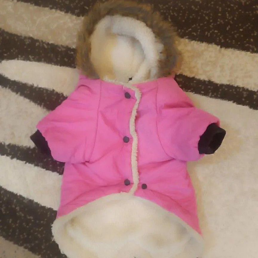 Одежда для собак